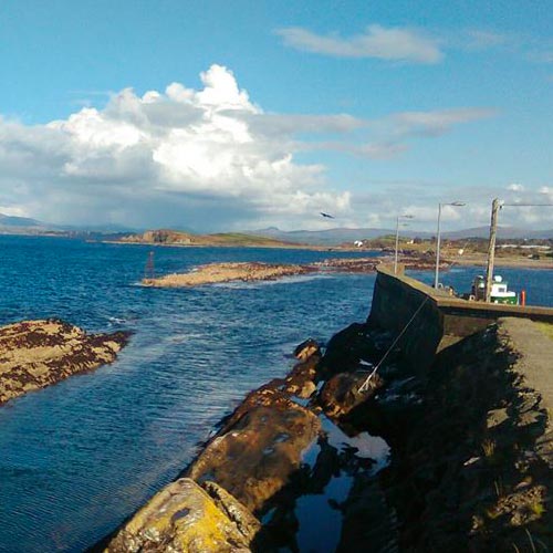 Bantry Marine Research Station - Bantry Marine Research Station